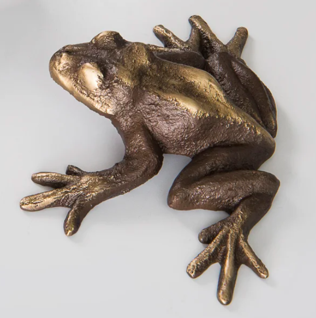 Frog - Scott Nelles | Sanctuary Goods